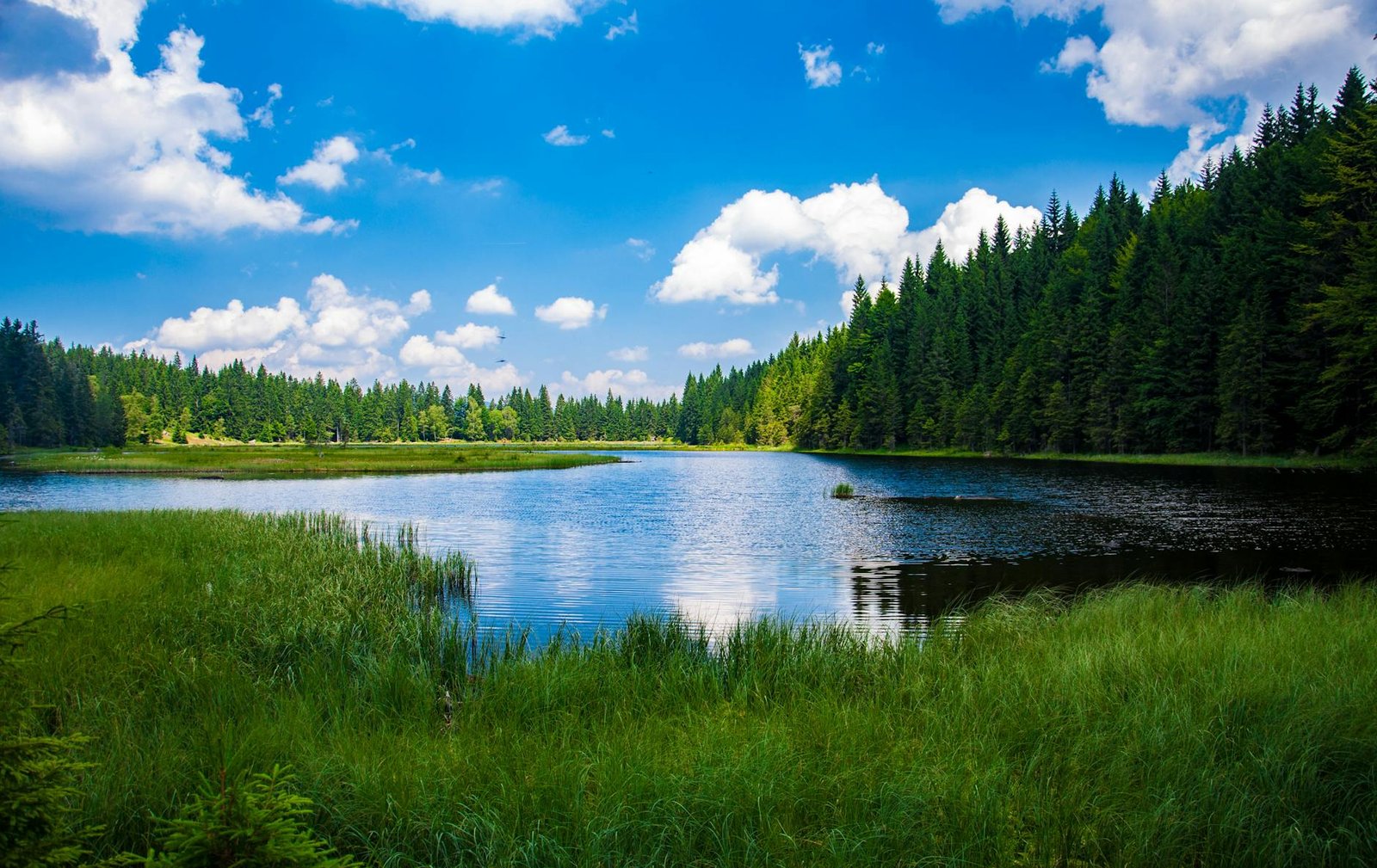 What Are Benefits Of Rainfall - Junaid Blog